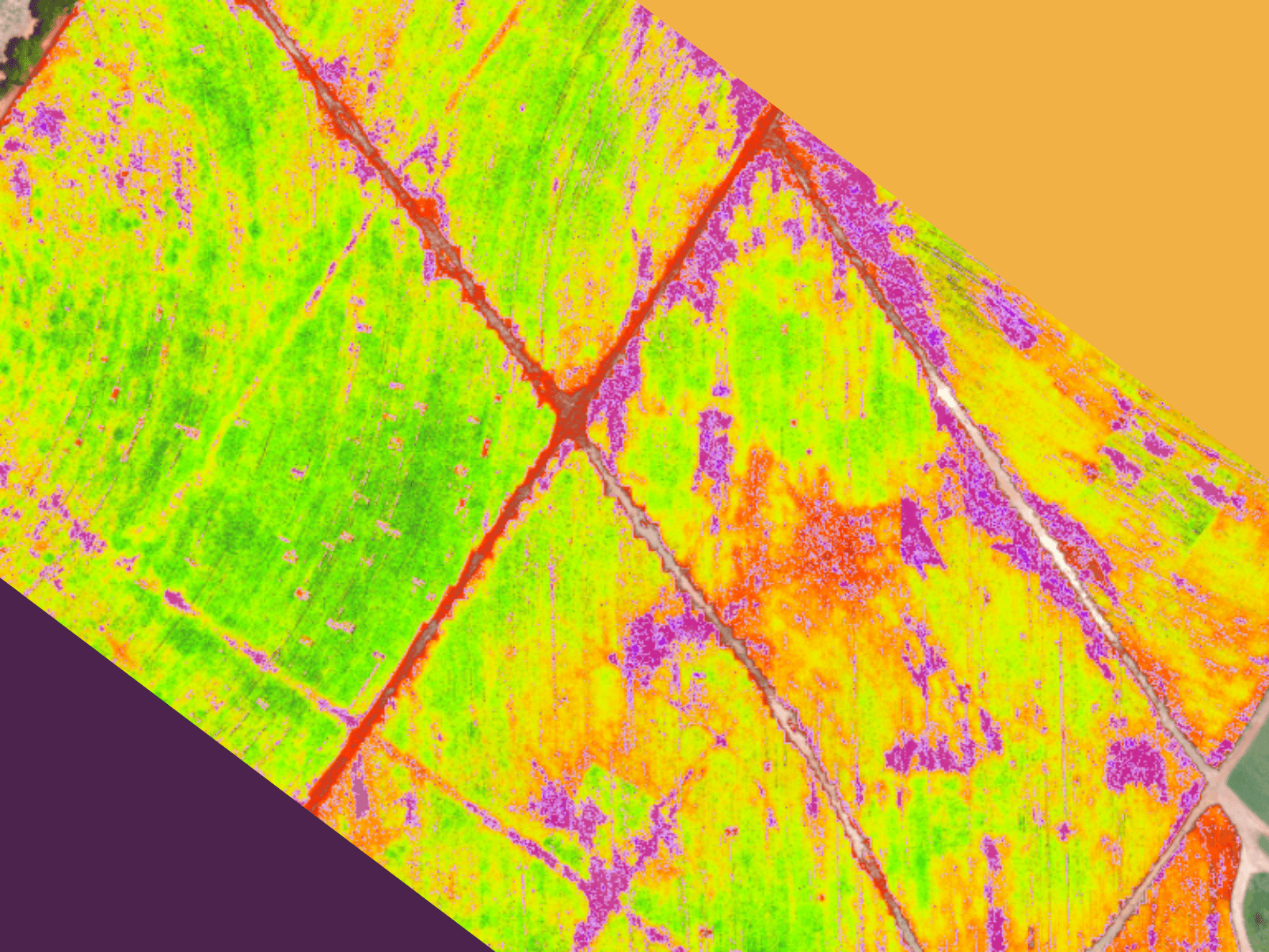 SurveyTransfer - Case Studies