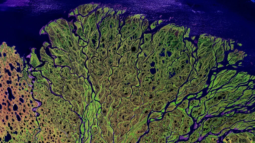 Geotiff Viewer: Geospatial Data Visualization at its Best