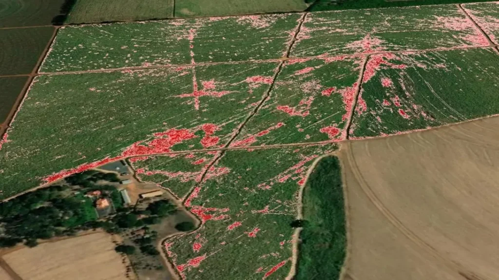 Shapefile Explained: What It Is, How It Works & Key Benefits